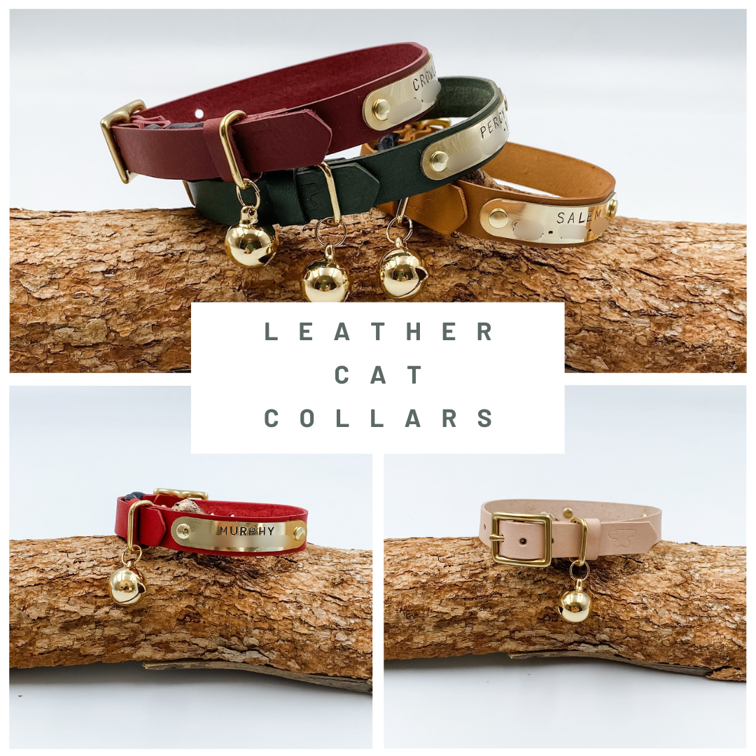 Leather Cat Collars – Custom Collars | NZ Made – Kinfolk Leather