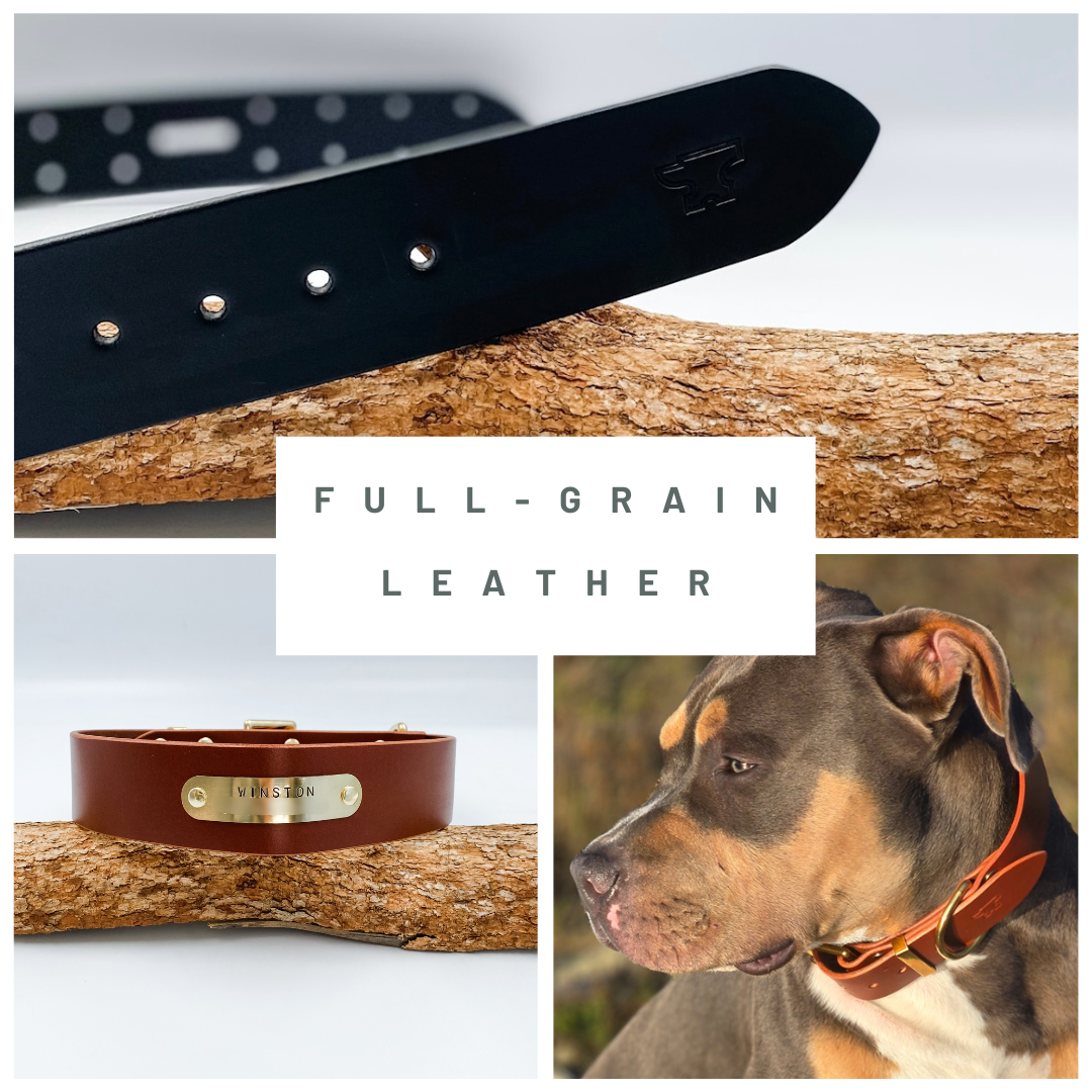 Leather Dog Collars & Leads | Custom Made in NZ – Kinfolk Leather