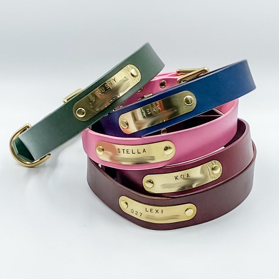 Custom Leather Dog Collars & Leads with stamped nameplate | NZ Made ...